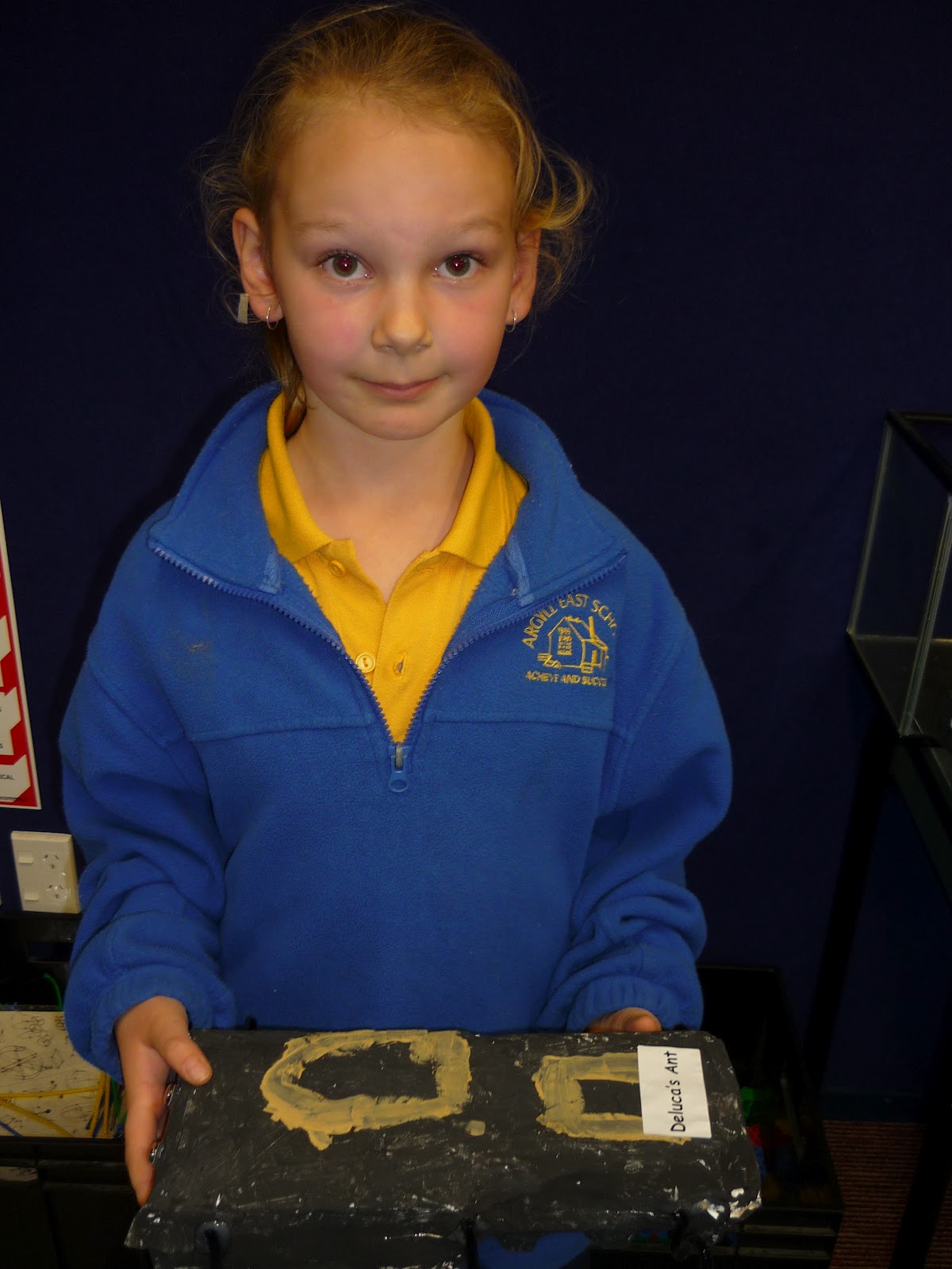 AES Junior Room: Minibeast models