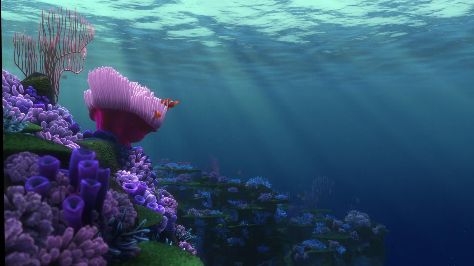Finding Nemo Coral Reef Background