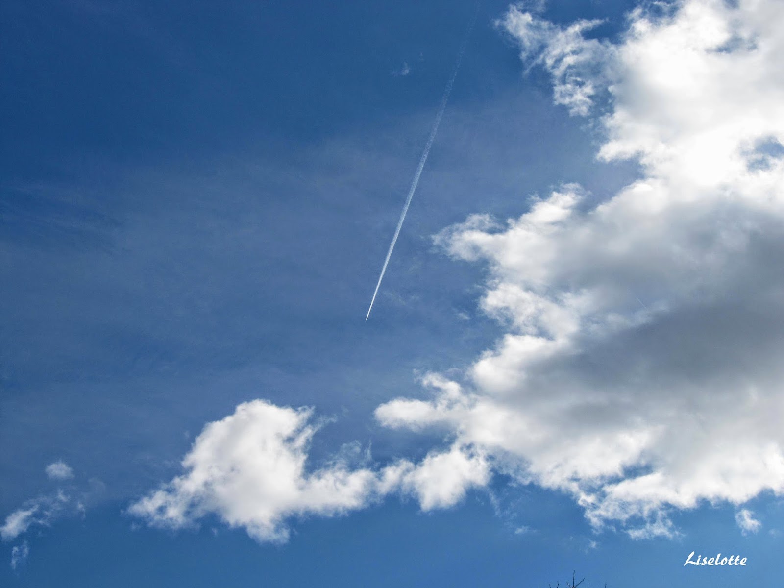 Les Arts à Vie: Vive le vent...