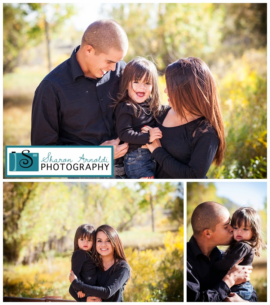 OLD BLOG, NEW BLOG HERE: http://www.sharonarnoldi.com/blog : Highlands ...