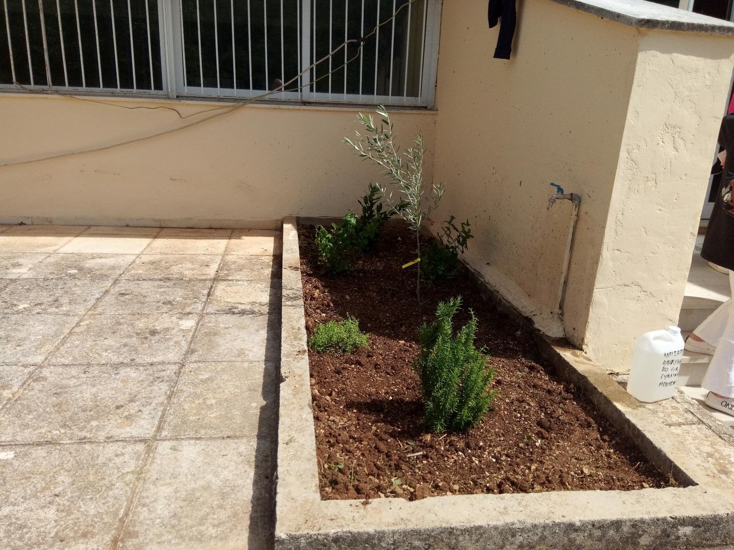 ΓΥΜΝΑΣΙΟ ΔΕΛΒΙΝΑΚΙΟΥ