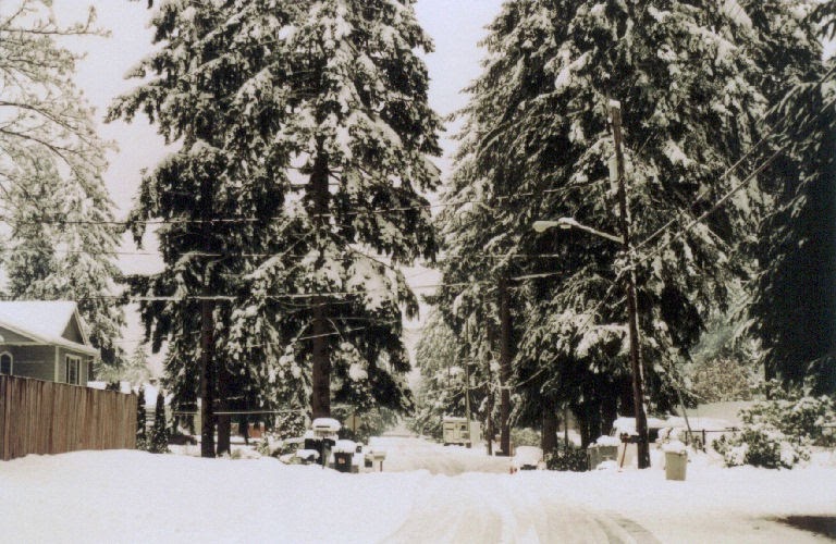 Shoreline Area News: WeatherWatcher: 30 years ago in weather, December ...