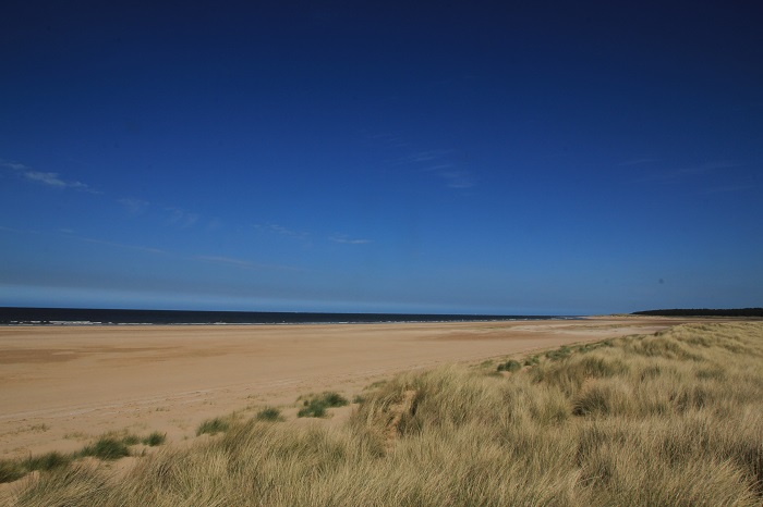 Holkham National Nature Reserve: The Dunes of Holkham