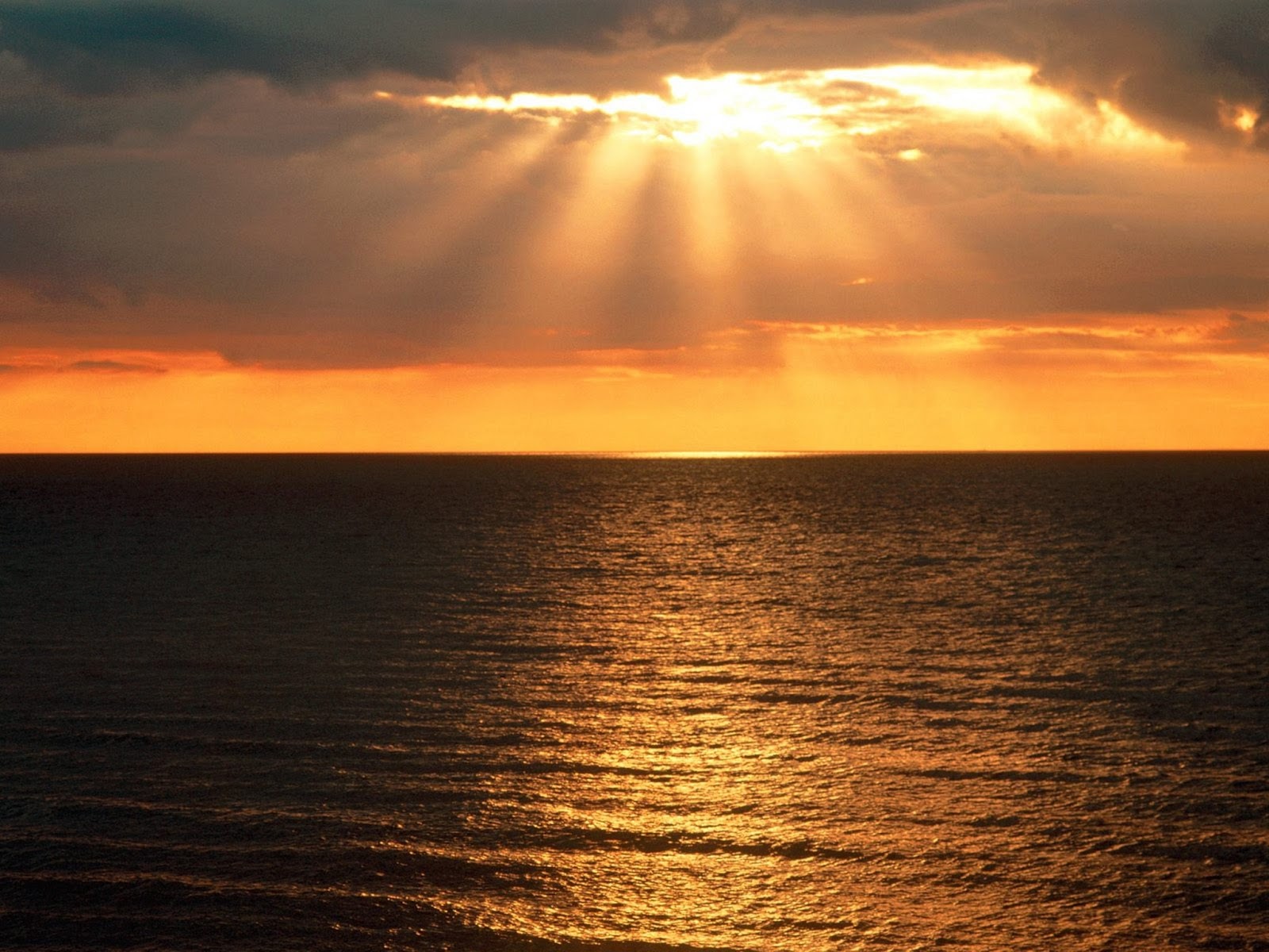 Imagens Videos Nascer Do Sol Sunrise