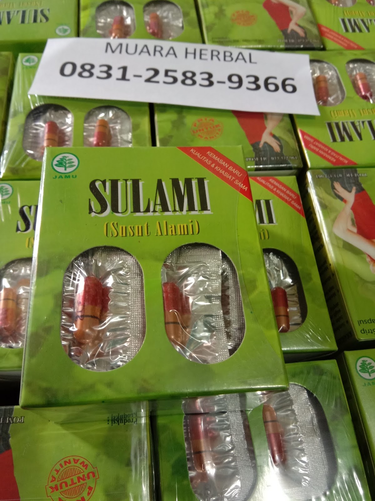 Pelangsing Sulami Kapsul