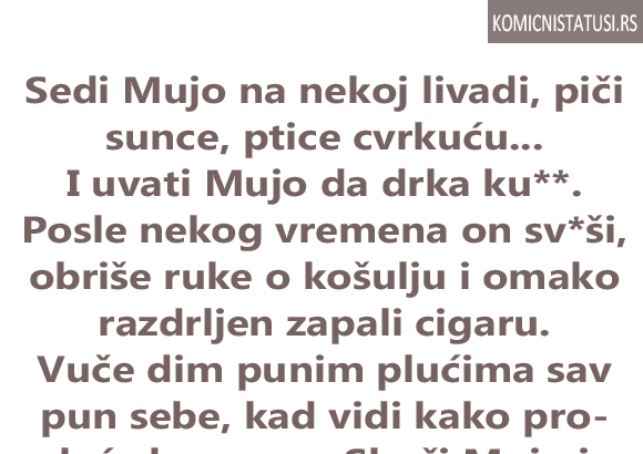 Mesa Selimovic-citati koji zive: VIC – Sedi Mujo na nekoj livadi, piči ...