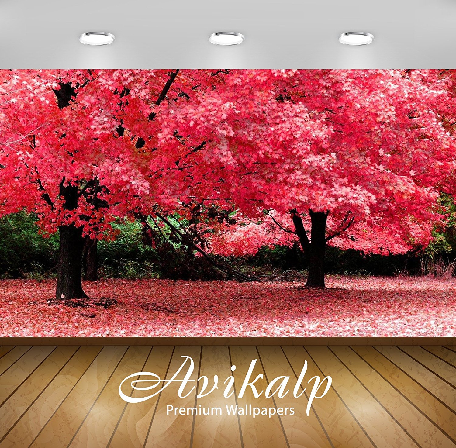 Avikalp Avikalp Awi3337 Pink Flowers Trees Beautiful Nature Scenery HD 3D Wallpaper Or Wall avikalp-avikalp-awi3337-pink-flowers-trees-beautiful-nature-scenery-hd-3d-wallpaper-or-wall