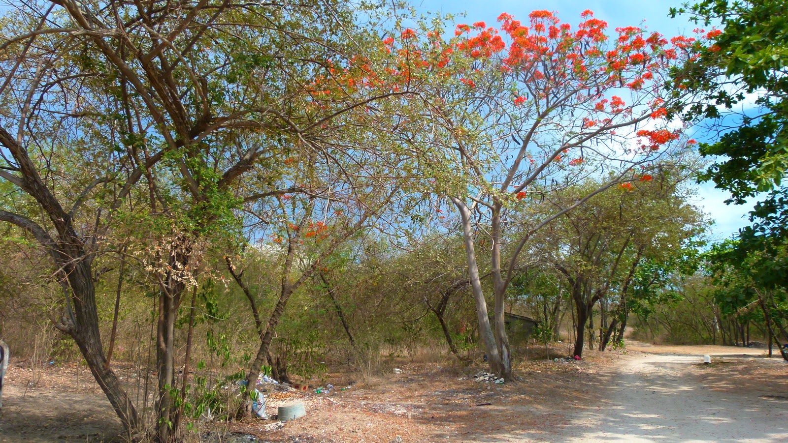 BUROT BEACH - Lakwatserong Tsinelas
