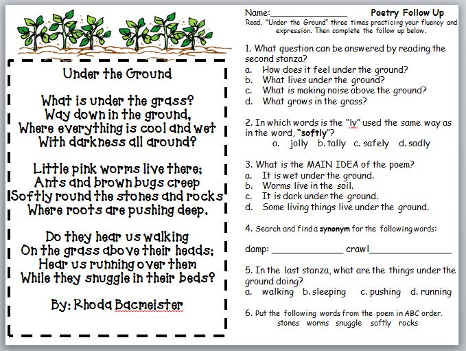 Live and Learn: Soil Poetry Follow Ups