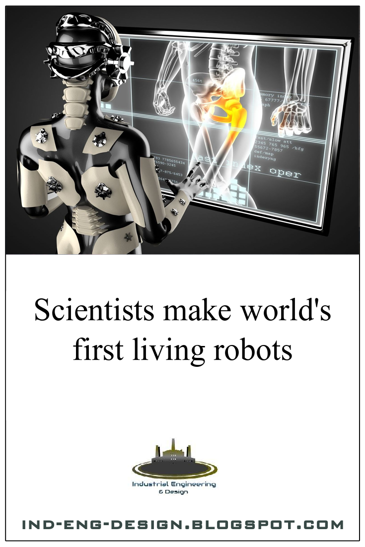 Scientists make world's first living robots | MagOne 2016