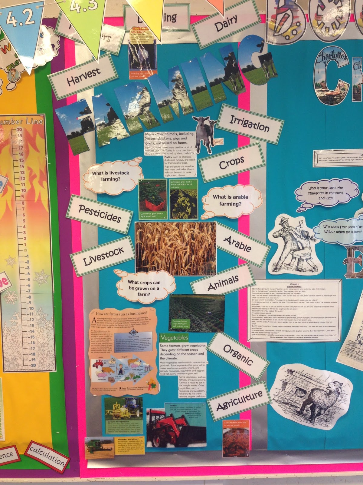 Creative Teaching Displays: Charlotte's Web!