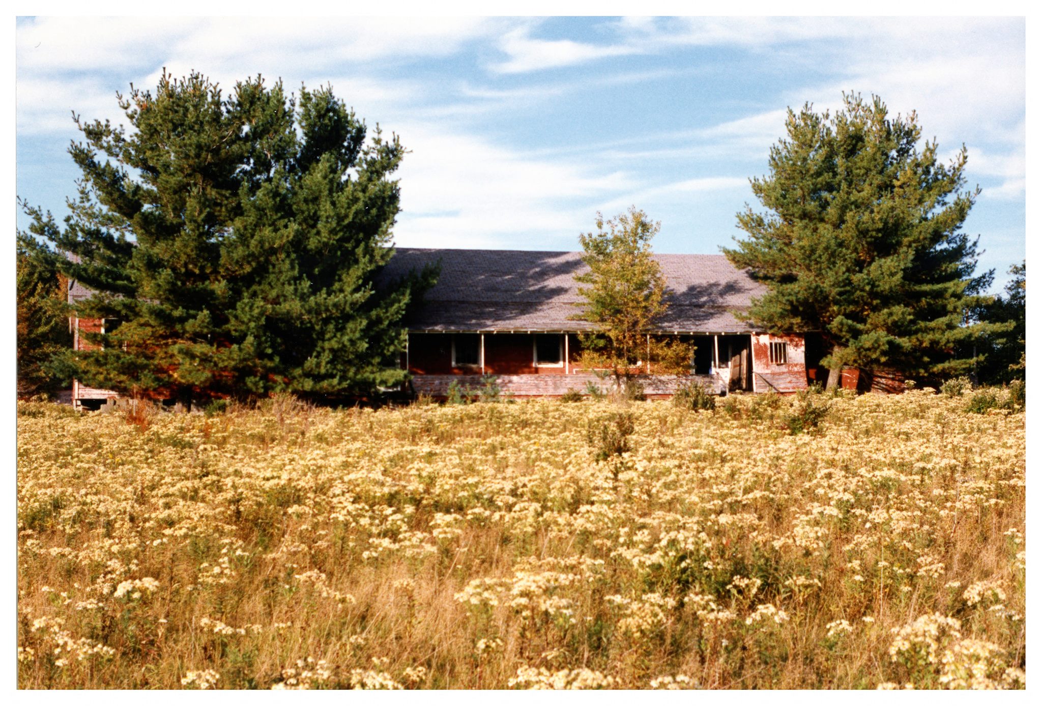 Betarim In North America