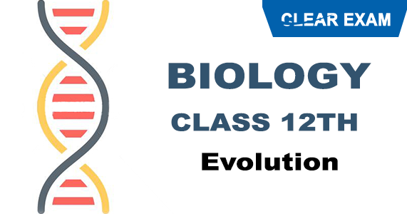NCERT Solutions for Class 12 Biology Chapter 7 - Evolution