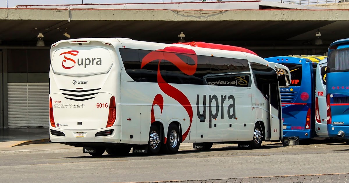 MAXIBUSES: SUPRA