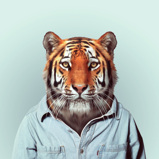White PUNCH: Zoo Potraits by Yago Partal