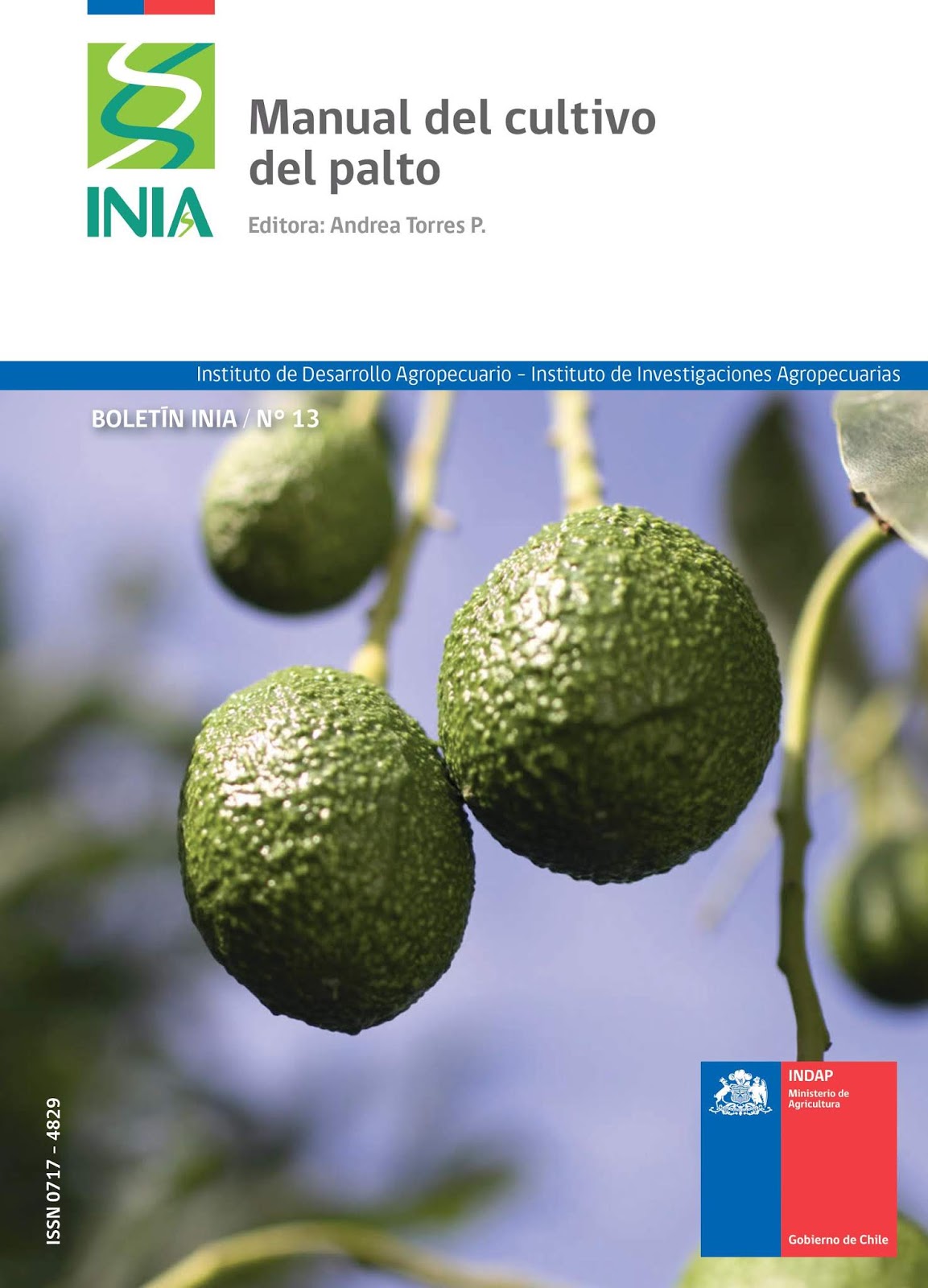 agrosank: MANUAL DEL CULTIVO DEL PALTO