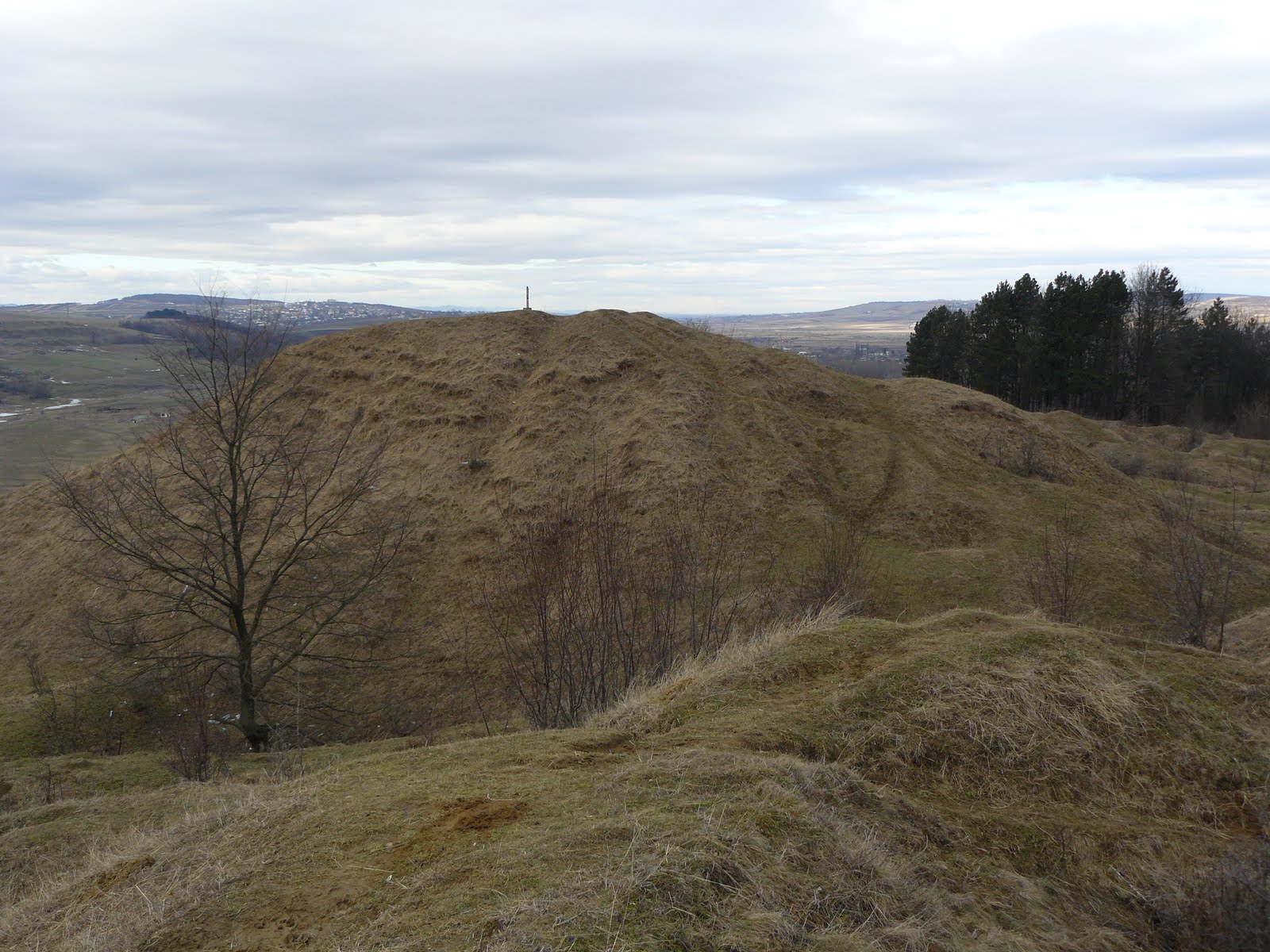 Greywolf`s bush: Cetatea Scheia