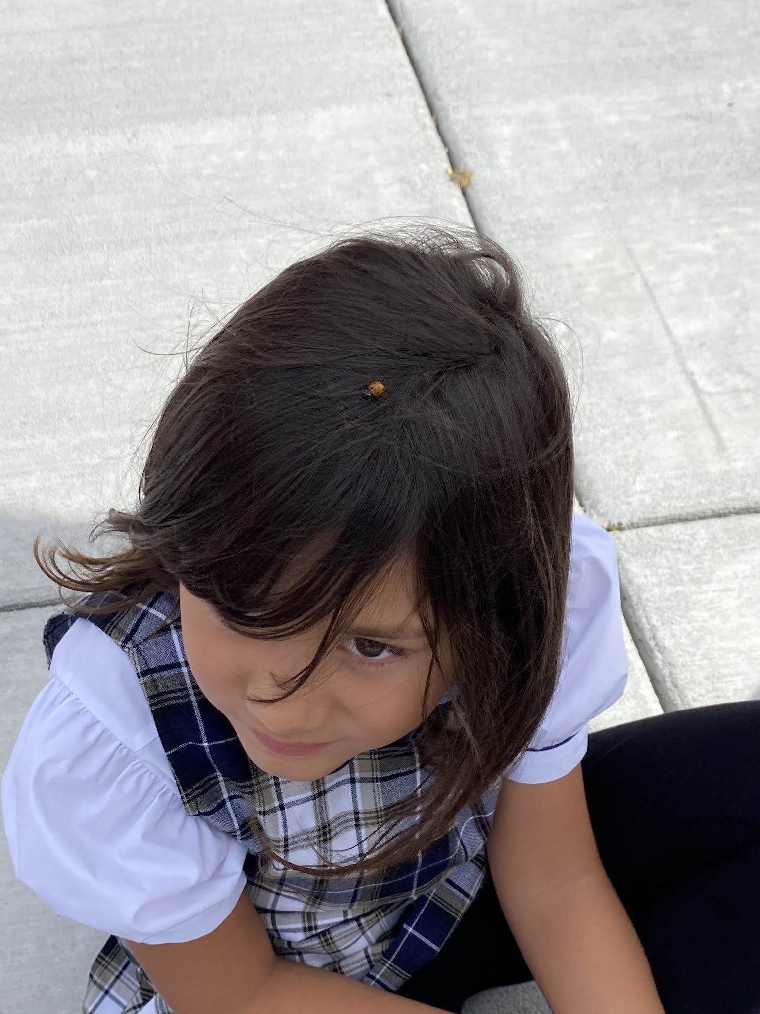 Little Colts: November 2020