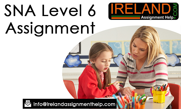 Ireland Assignment Help is guiding in SNA level 6 assignments