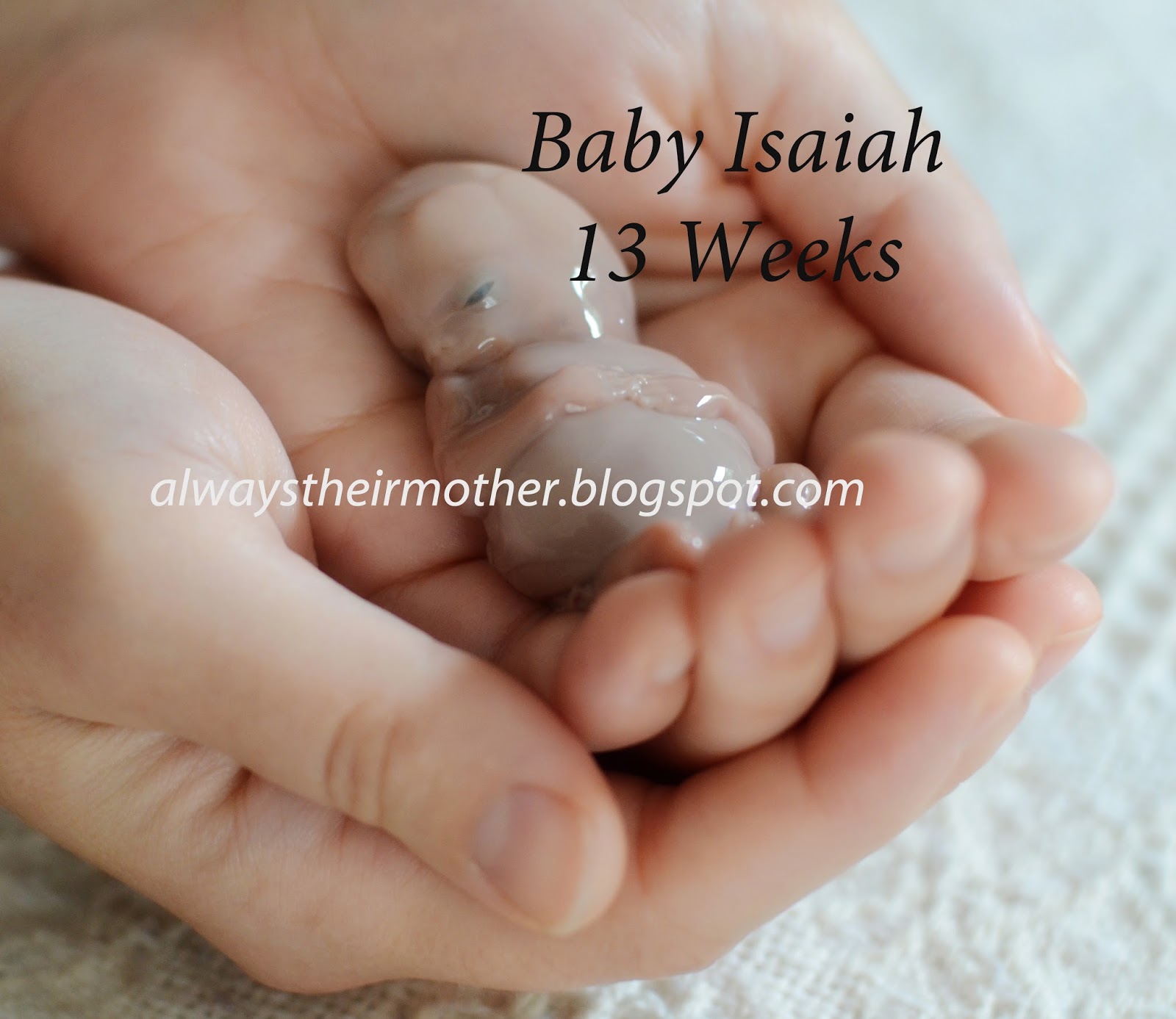 Miscarriage At 11 Weeks Signs