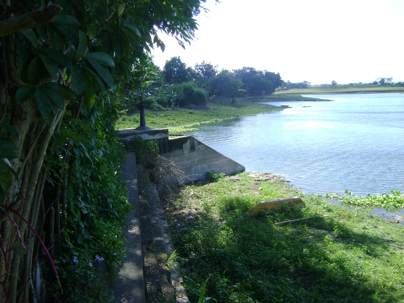 Dince's Chronicles: 2013