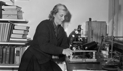 The Digital Teacher: Women in Science : Maria Gaetana Agnesi & Dorothy ...