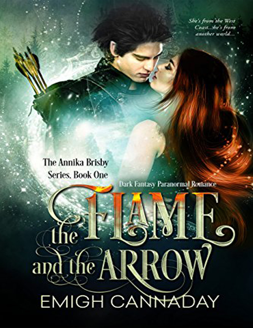 Sirenita Cibernetica: The Flame and The Arrow por Emigh Cannaday