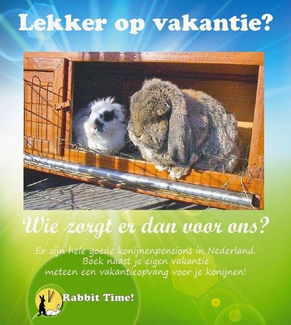 Het Vrolijke Konijnenhol: Konijnen op vakantie!