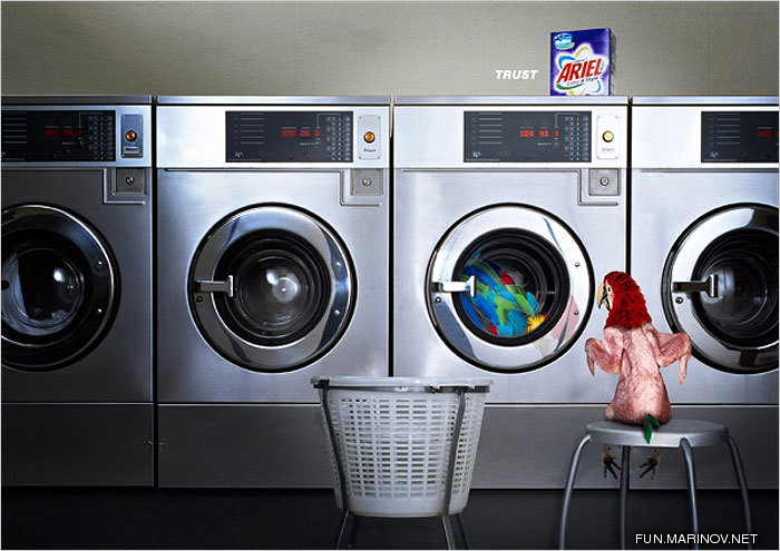 Kiwi's Angels: Parrot Print Ad for Ariel Detergent