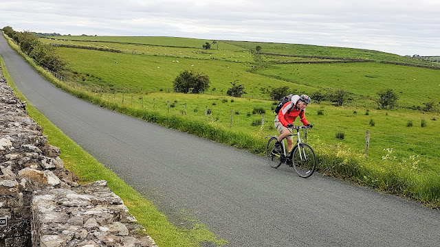 Emerging From The Undergrowth: Hadrian's Wall Cycle Route