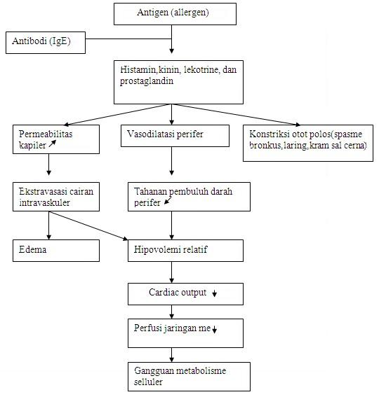 Patofisiologi dan Penatalaksanaan Syok Anafilaktik - Anesthesia ...