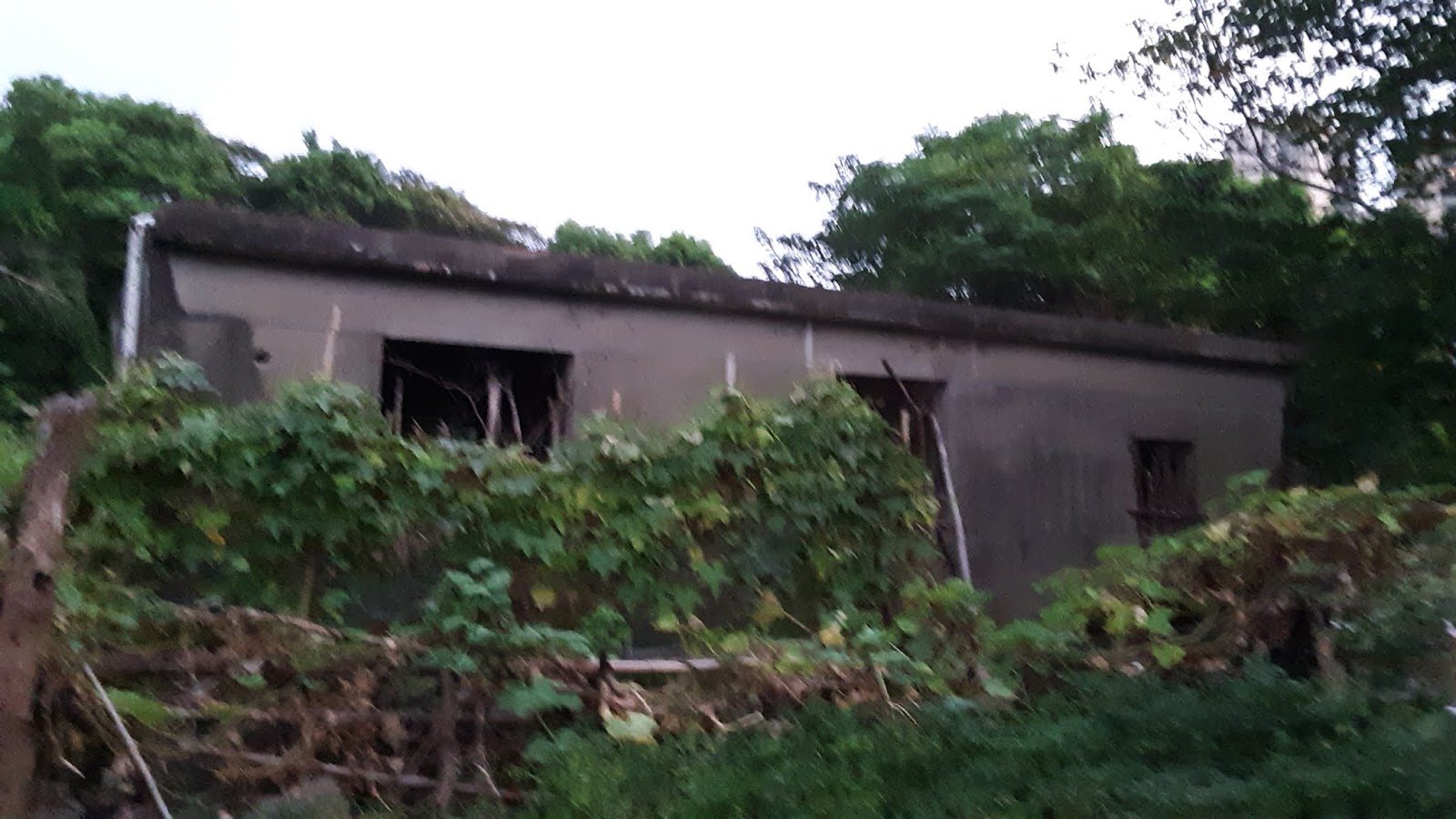 Azriel Johnson, Official Author Blog