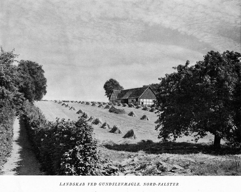 Amazing Pictures That Show Countryside of Denmark in the 1930s ...
