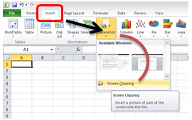 SCREEN SHOT PADA MICROSOFT EXCEL 2010 - Multi Contents for all