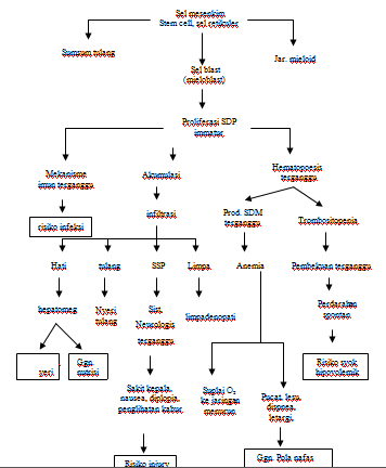 Patofisiologi dan Pathways leukemia ALL (Acute Lymphoid Leukemia ...