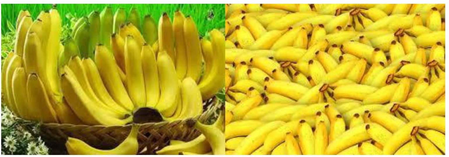 Manfaat Buah Pisang untuk Kesehatan dan Kandungan Gizinya ~ INFO SEHAT