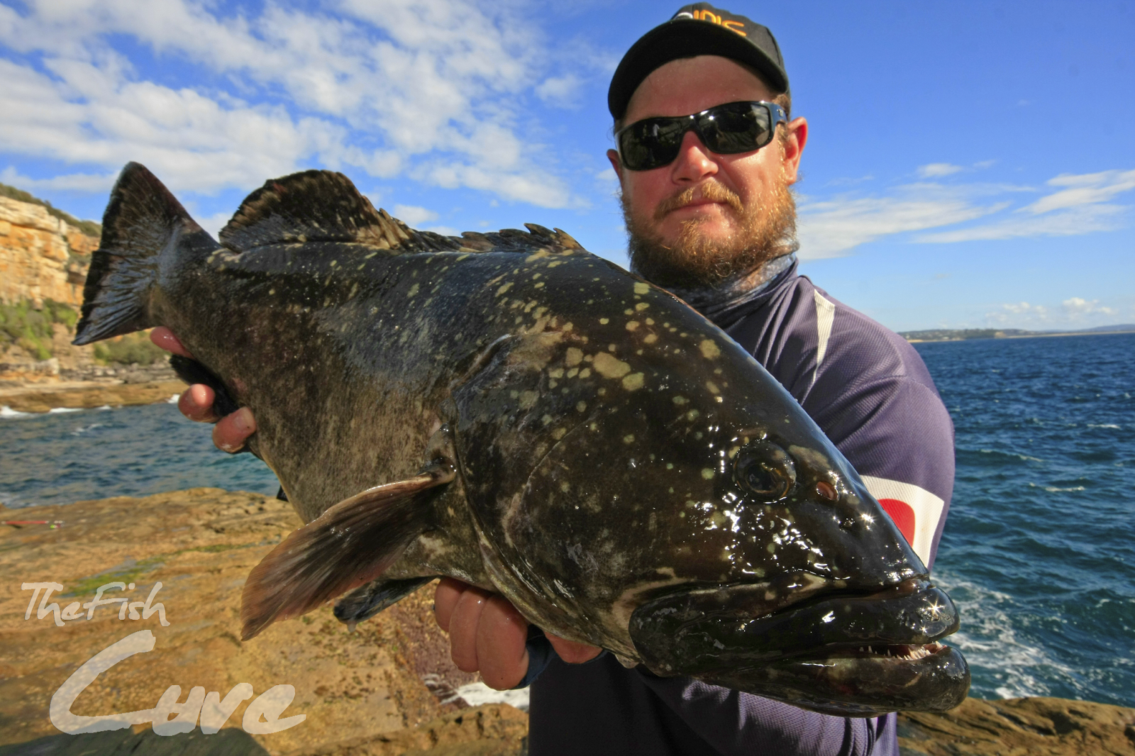 The Fish Cure: HOLY COD