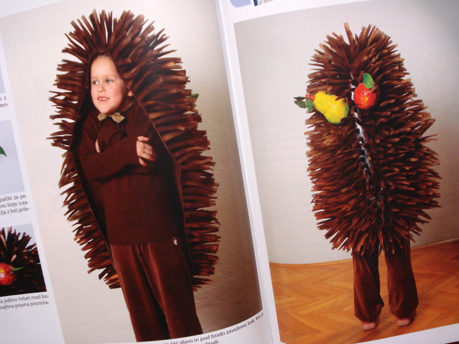 Enejja: Pustni kostum ježek