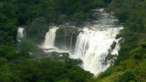 What to See in Chinnar Wildlife Sanctuary, Munnar – Main Attraction ...