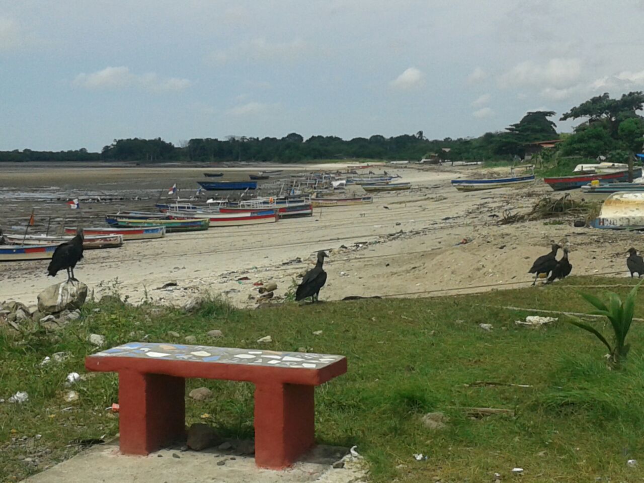 contaminacion de la playa de puerto caimito