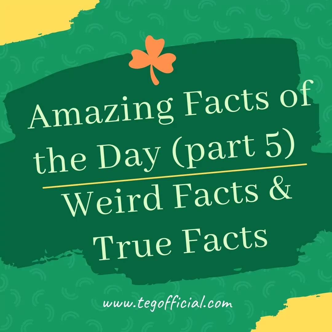 Amazing Facts Of The Day part 5 Weird Facts True Facts amazing-facts-of-the-day-part-5-weird-facts-true-facts
