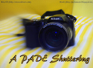 Stir Your Souls: PADE Day 8 --- Rules --- My First Entry As A PADE ...