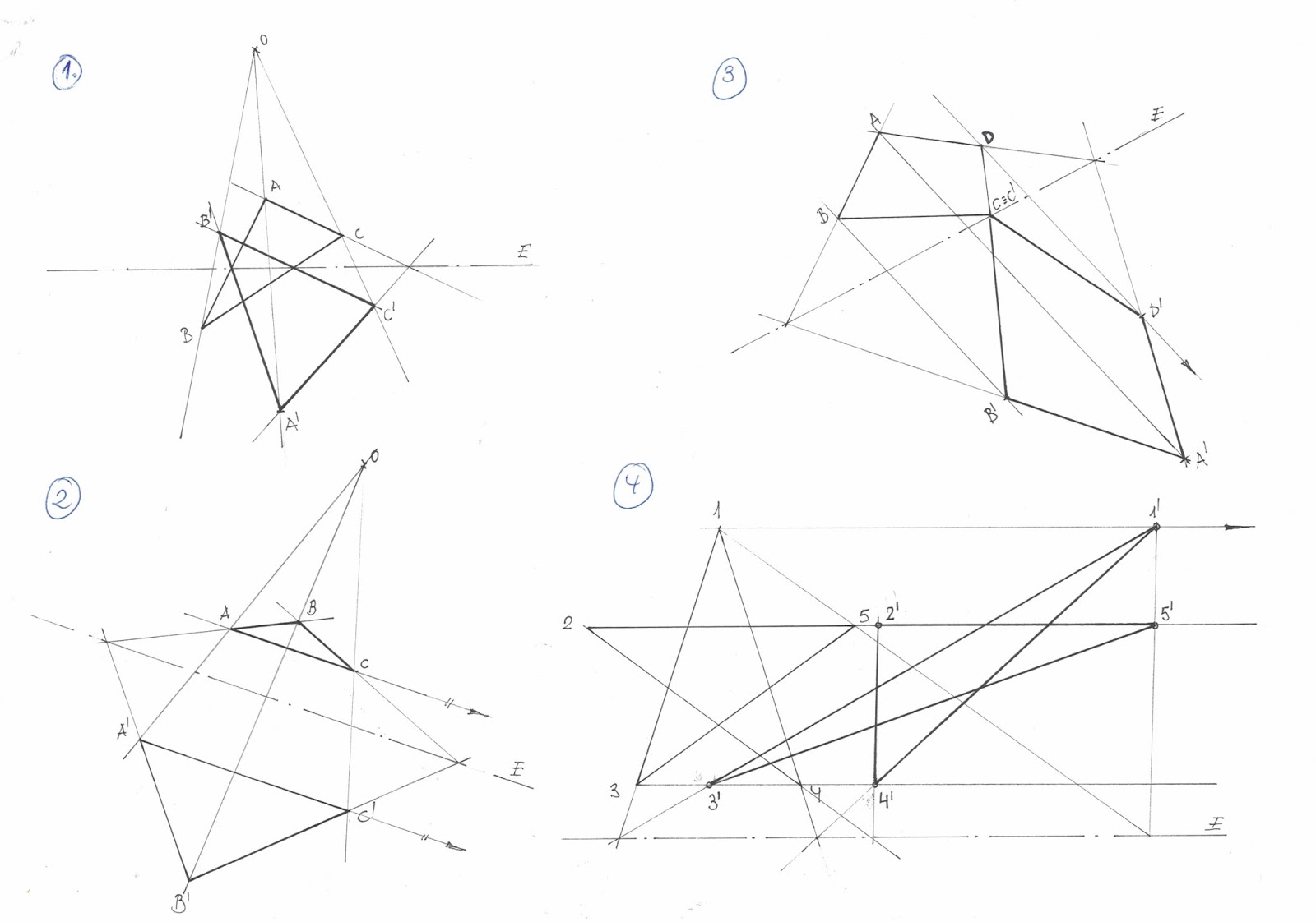 EL DOMINIO DEL DIBUJO: Ejercicios de homología y afinidad. 1º de ...