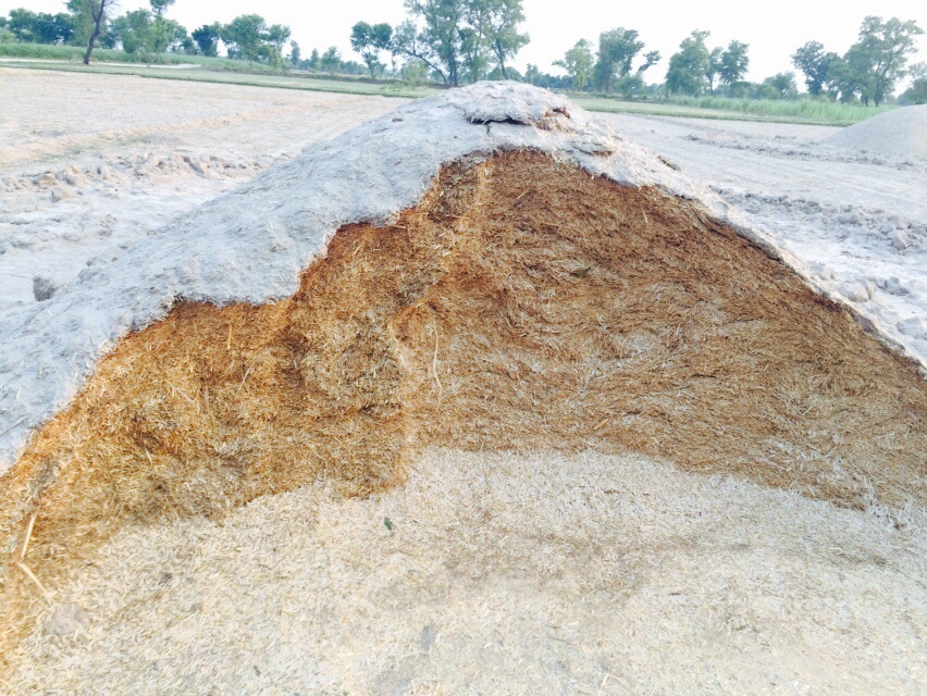 My Own Views: Village Views Of Pakistan, Muhammad Pura