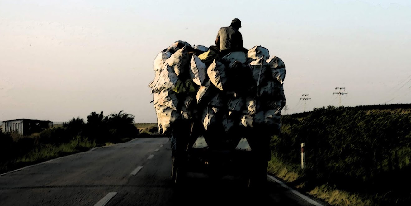 Jewish Citizens on Exhibit | Alma Heckman