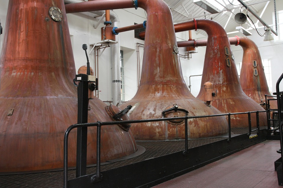 Gin processing | Botanicals used in gin distillation