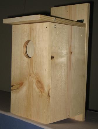 The Raptor Center: American Kestrel Next Boxes at TRC