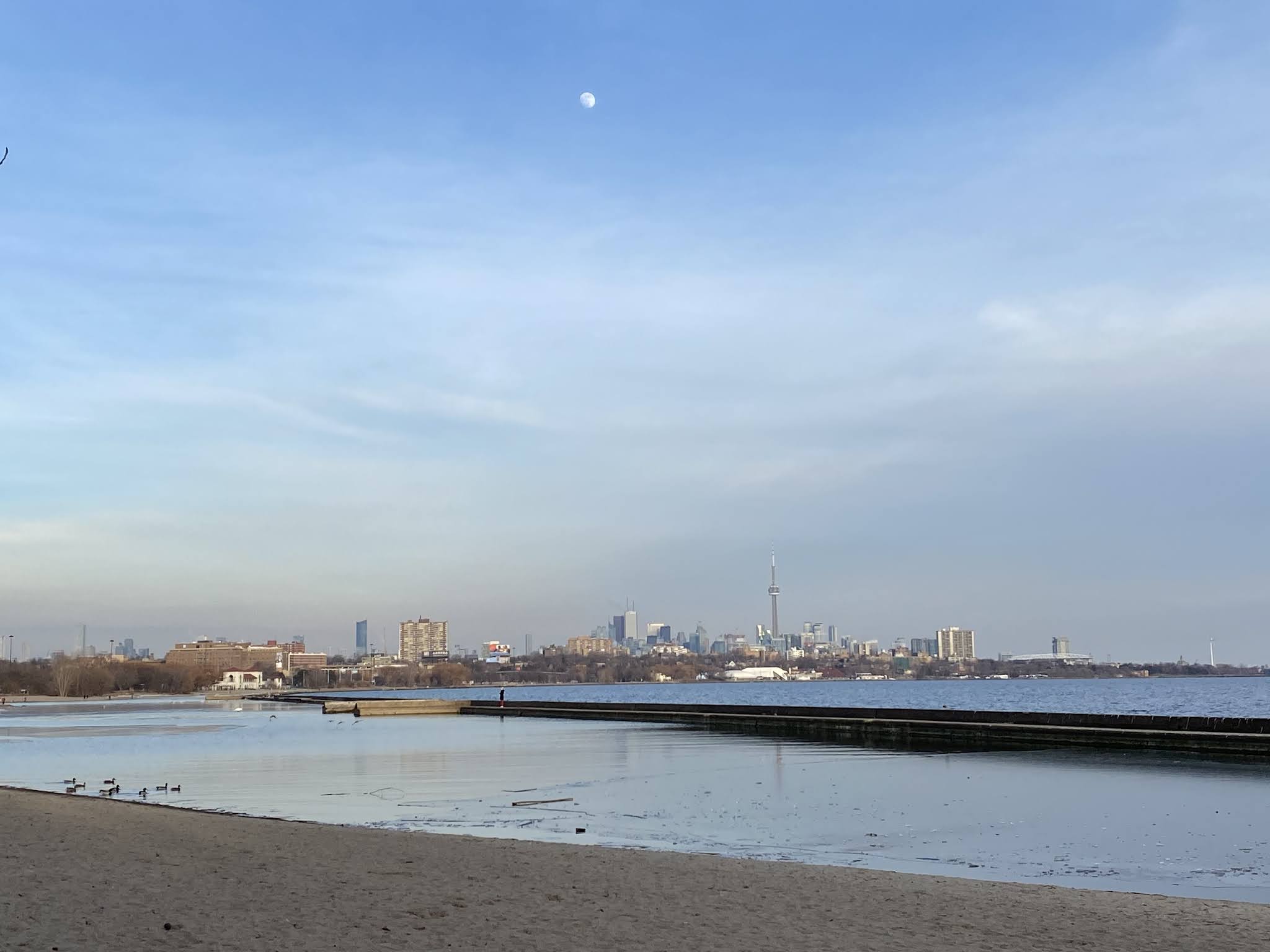 Teena in Toronto: Sunnyside Boardwalk and Sheldon Lookout, Toronto, ON