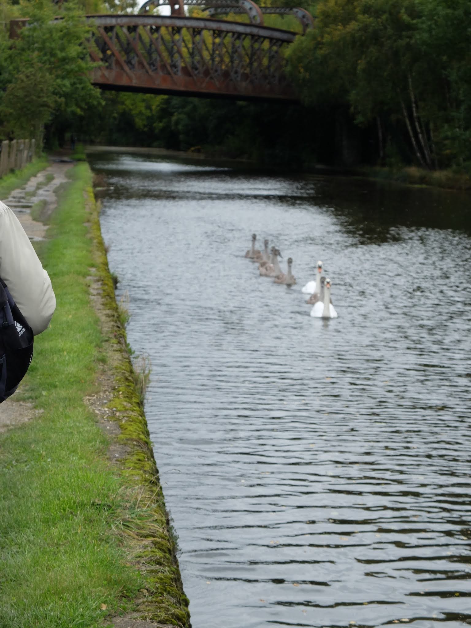 Lads outings : Horbury Bridge to Calder Island