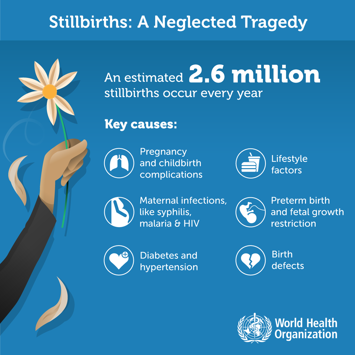 Ob/Gyn Updated : A quarter of stillbirths are preventable by increased ...